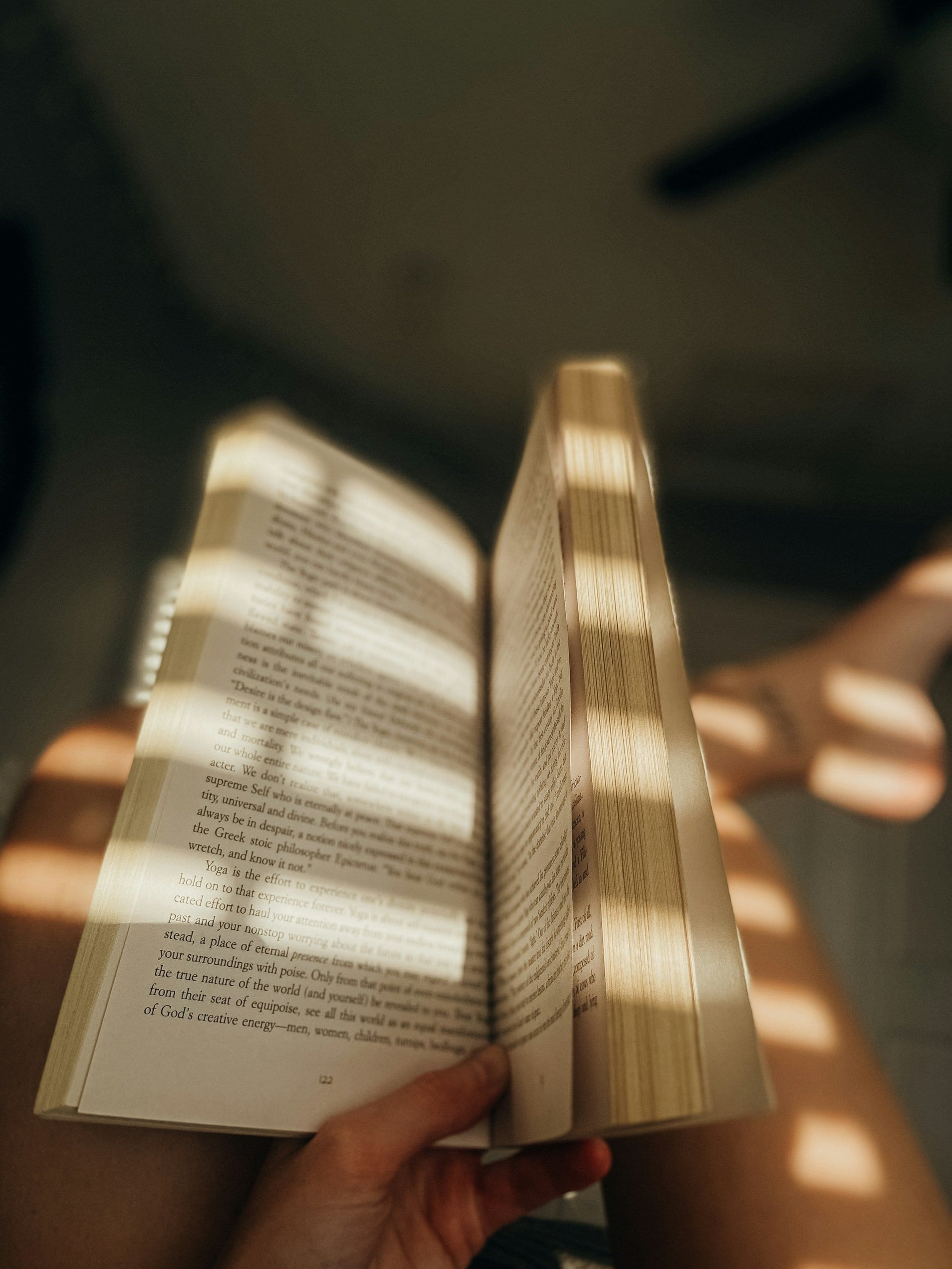 Currently distracted by a very good book — Epigram