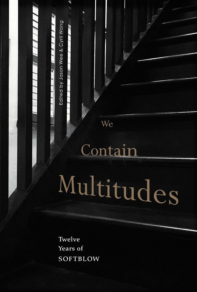 We Contain Multitudes: Twelve Years of Softblow — Epigram